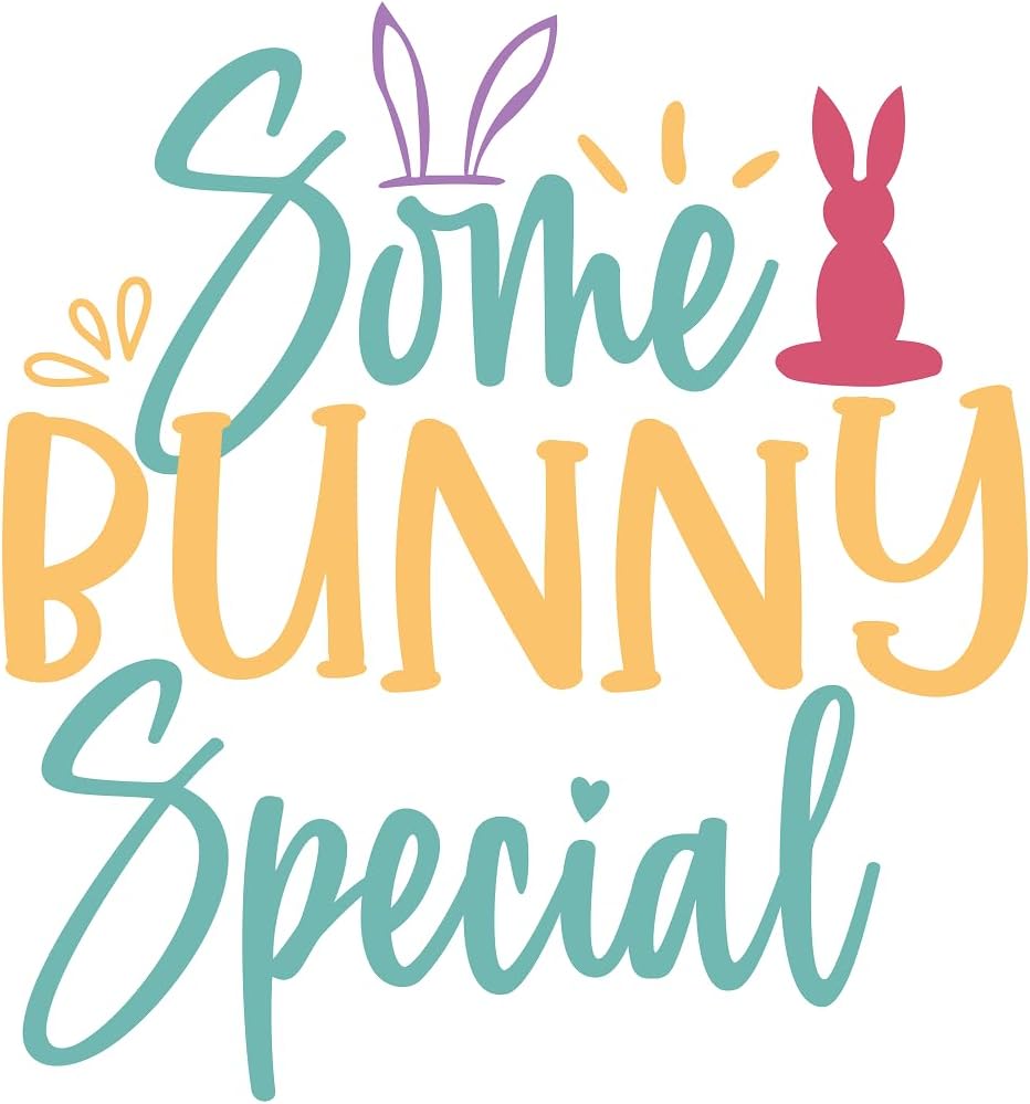 Inspirational Quote "Some Bunny Special" Motivational Sticker Vinyl De