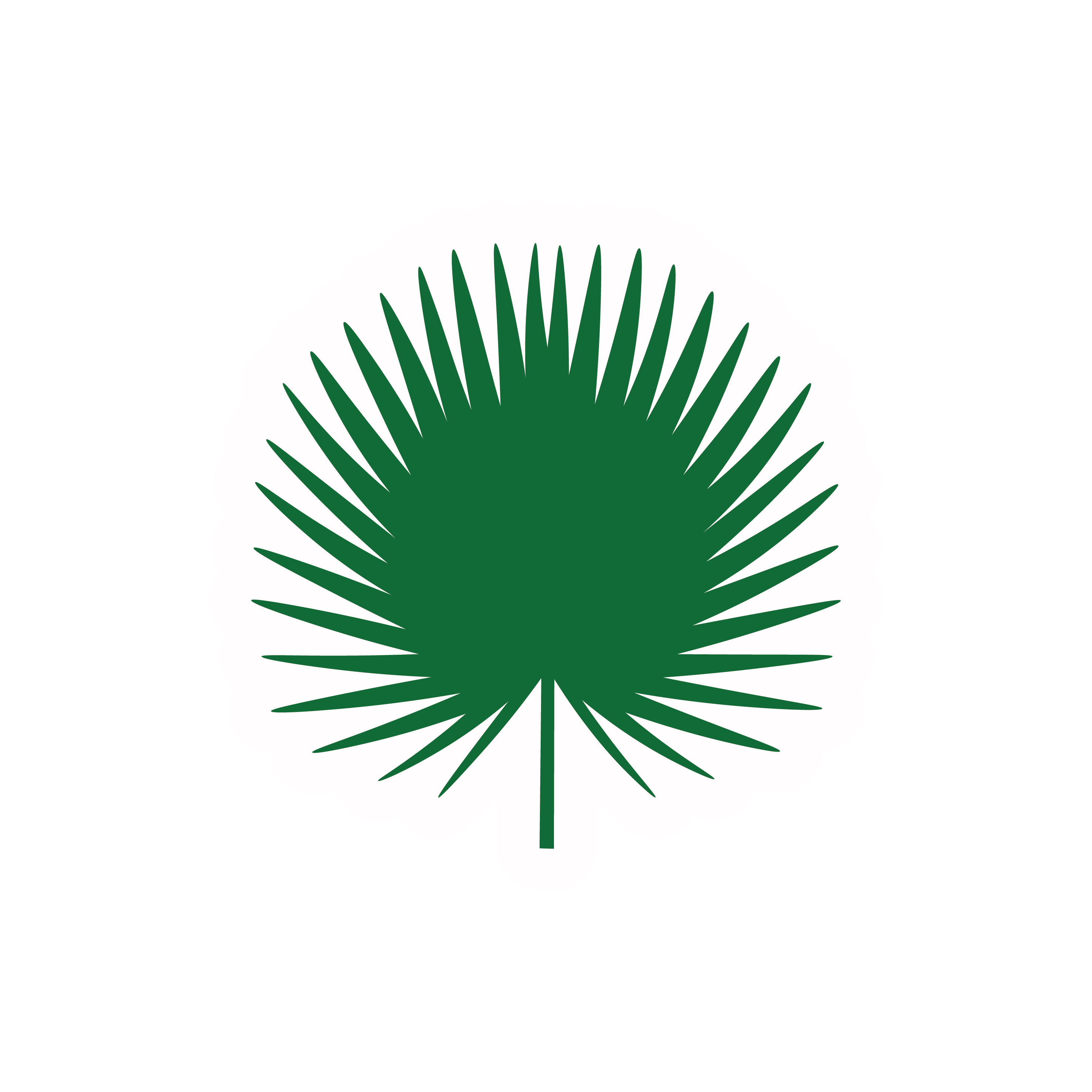 Inspirational Quote "Cabbage Tree" Motivational Sticker Vinyl Decal Mo