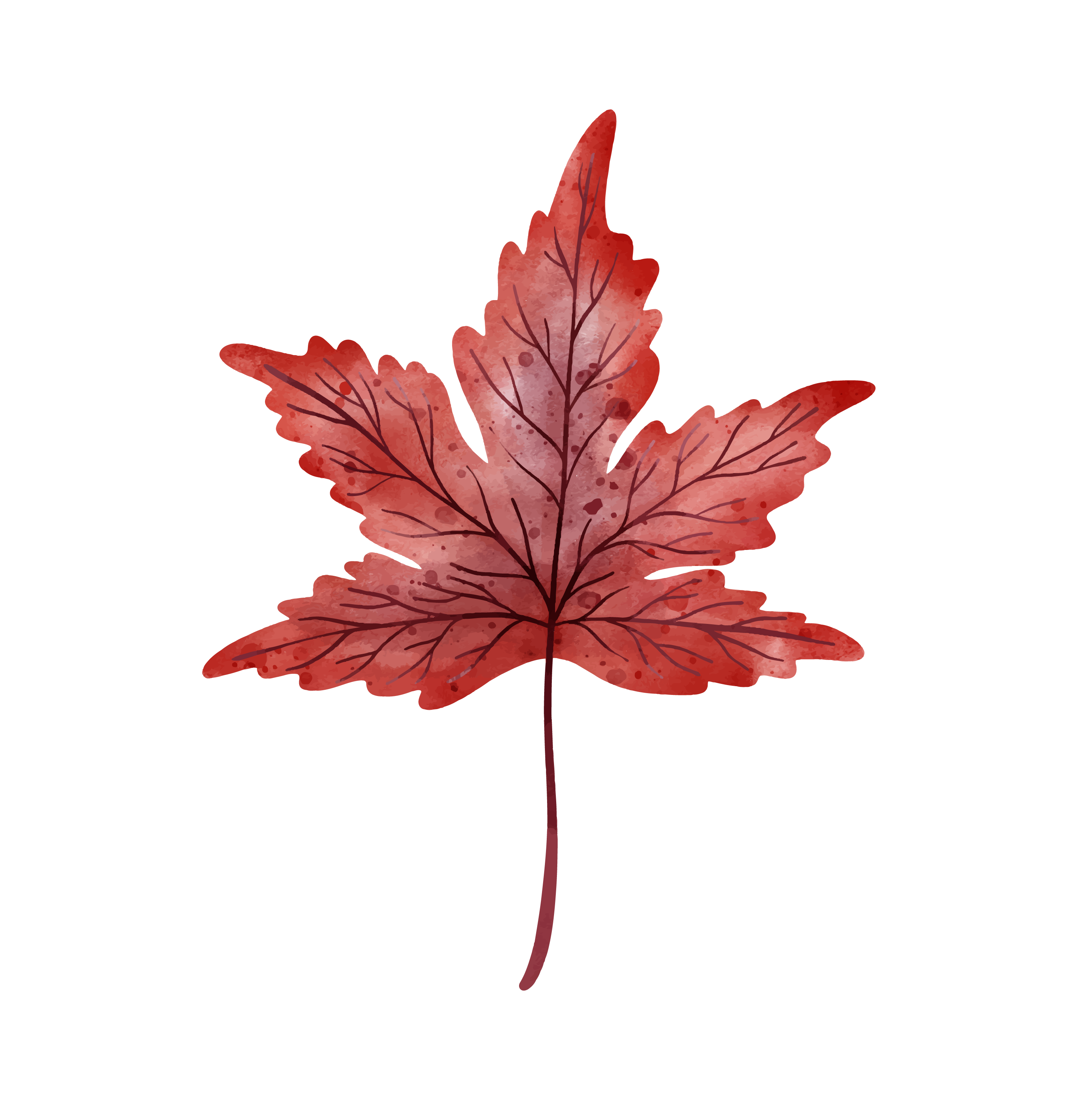 Inspirational Quote Redish Maple Leaf Motivational Sticker Vinyl Decal