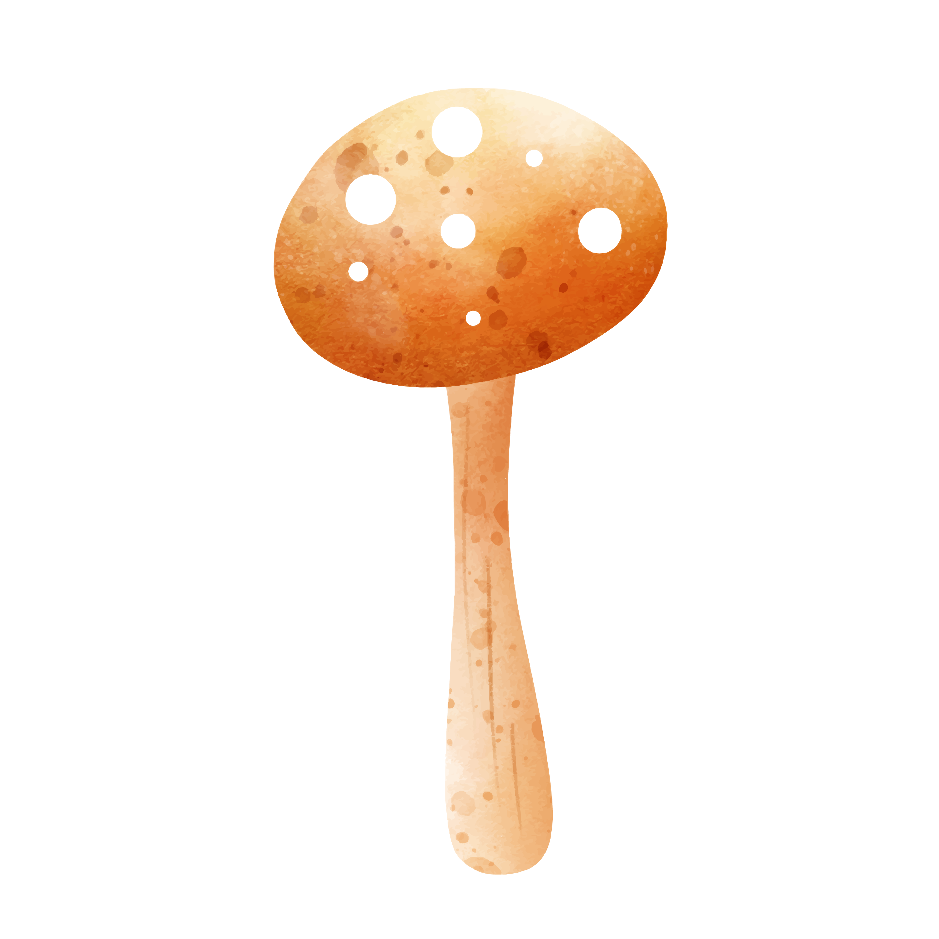 Inspirational Quote Beautiful Mushroom Motivational Sticker Vinyl Deca